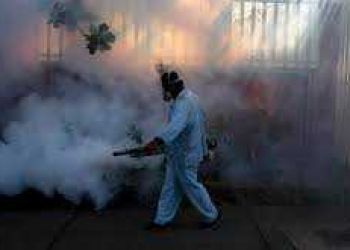 Vector Control - NACCHO