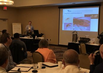 Funding Opportunities - NACCHO